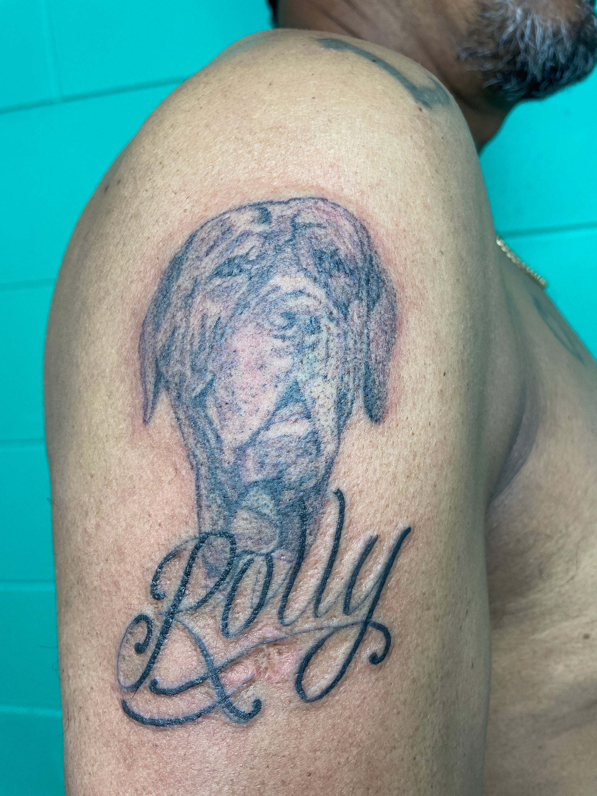 Errol – paradisotattoosnz01